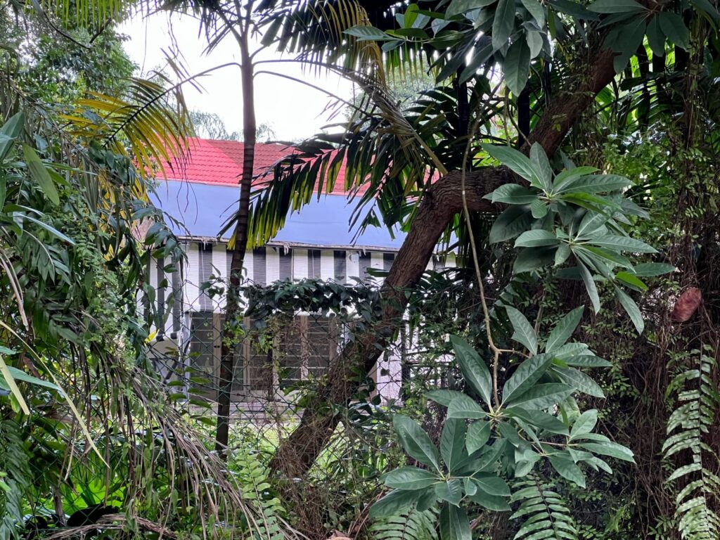 Woodleigh Park, Carmichael Road, and Braddell Heights - The wandering fool