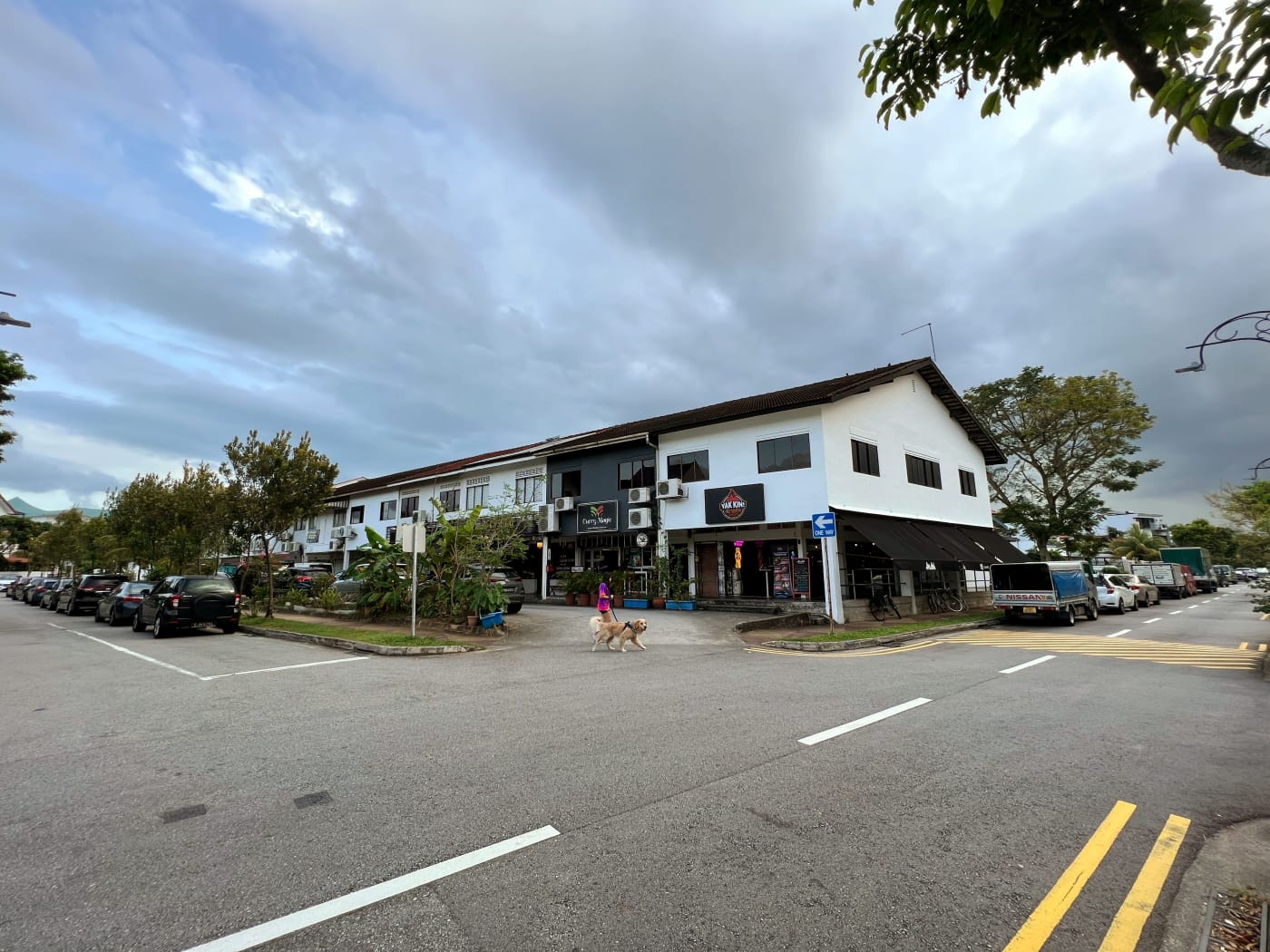 Woodleigh Park, Carmichael Road, and Braddell Heights - The wandering fool